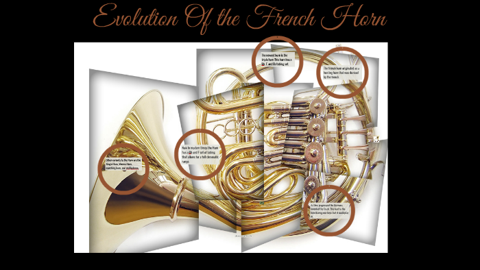 Evolution Of the French Horn by Alex Smurphy