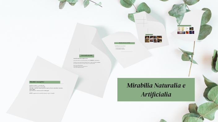 Wonders by Federica Venturini on Prezi