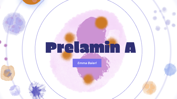 Protein Minute - Prelamin A by Emma Baierl on Prezi