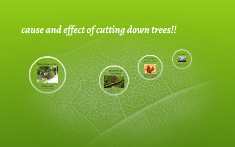 cause and effect of cutting down trees!! by D Janushewski on Prezi