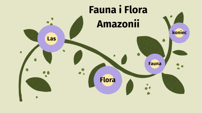 Fauna i flora Amazonii by Asia Wróblewska on Prezi