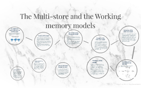 The Multi-store and the Working memory models by Anna Kindyakova on Prezi
