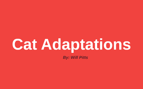 Cat Adaptations by Will Pitts on Prezi