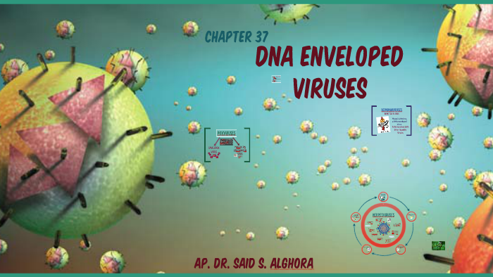 DNA Enveloped Viruses by Yasmeen Yahya on Prezi