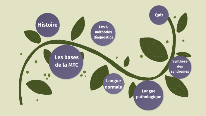 kit d'enseignement by Chadha ben messaoud on Prezi