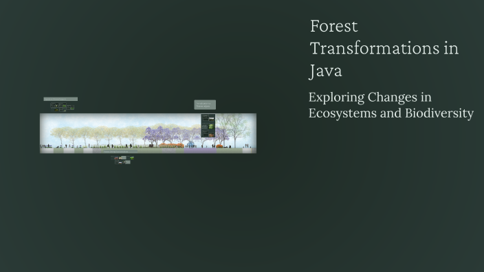 Forest Transformations In Java By Muhil Vaanan On Prezi