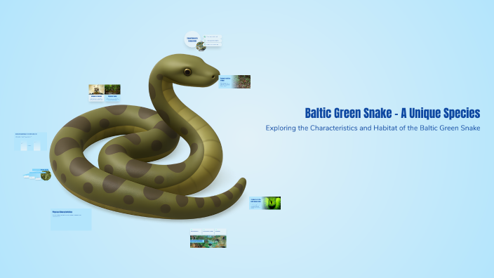 Baltic Green Snake - A Unique Species by Renata Kozlovskienė on Prezi