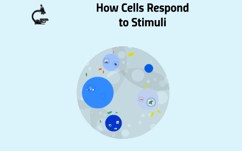 How Cells Respond to Stimuli by Philip Tabor on Prezi