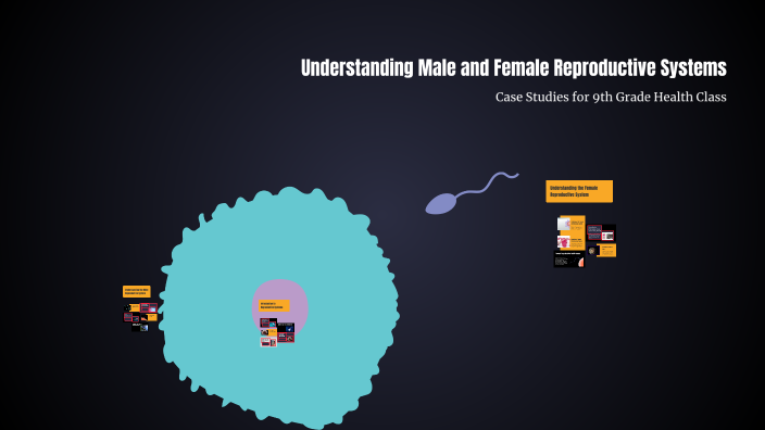 Understanding Male and Female Reproductive Systems by Coach Reid on Prezi