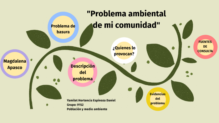 "Problema ambiental de mi comunidad" by Yamilet Hortencia Espinoza ...