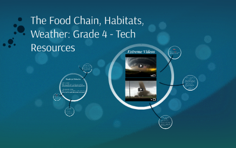 The Food Chain: Grade 4 - Tech Resources by Brittny Ohs on Prezi