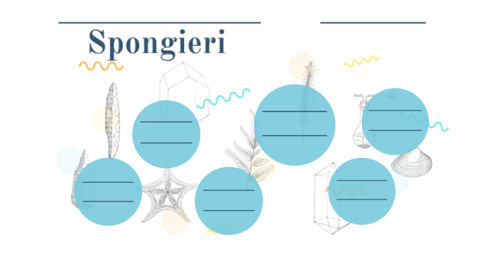 Spongieri by Laura Mironov on Prezi