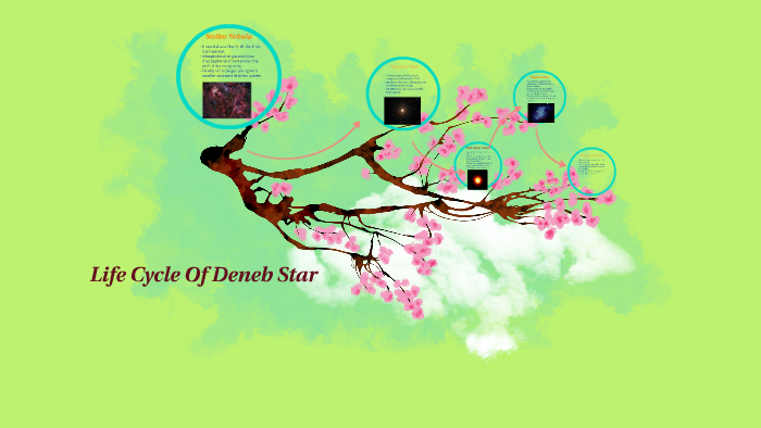 Life Cycle Of Deneb Star by Yessenia Tovar on Prezi