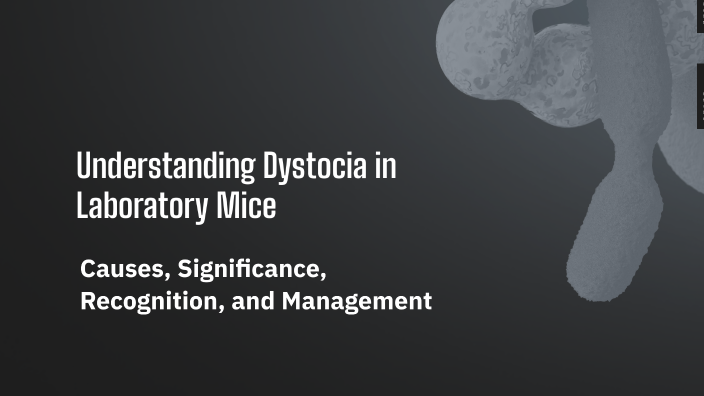Understanding Dystocia in Laboratory Mice by Amanda Ng on Prezi