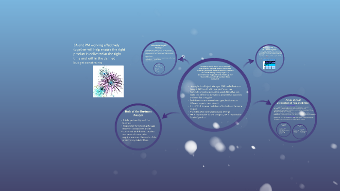 Difference between a PM and BA by Tammy Fitch on Prezi