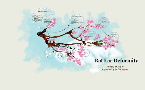 Bat Ear Deformity by Dakdok AJ on Prezi