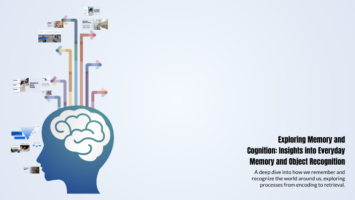 Exploring Memory and Cognition: Insights into Everyday Memory and ...