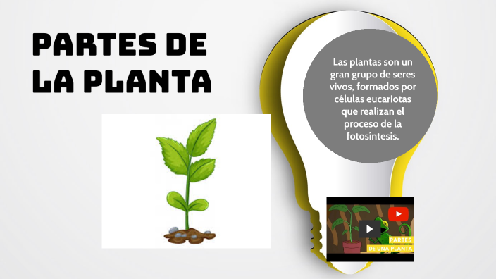 SXXSX by Julio Cueto celis on Prezi