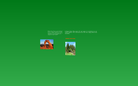 Different types of parks by Aldo Luna on Prezi
