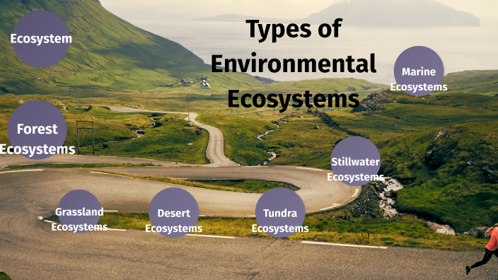 Types of Environmental Ecosystems by YACKELINE OSORIO HENAO on Prezi