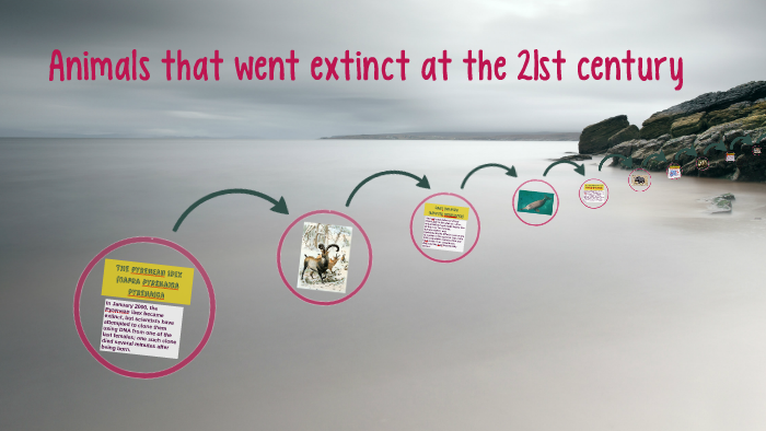 Animals that went extinct at the 21st century by LENA Palaez on Prezi