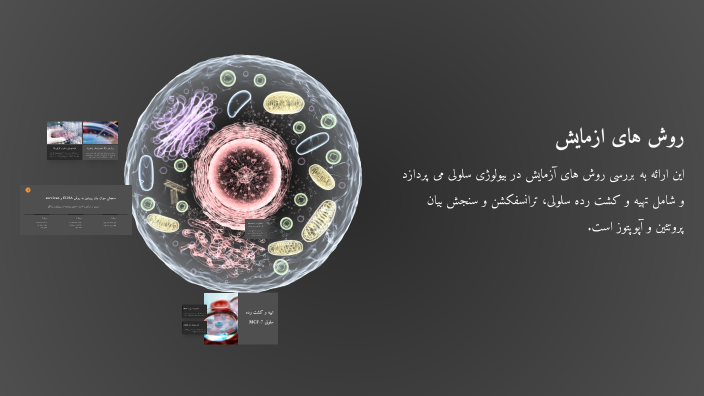 روش های ازمایش by Yalda Bahadini on Prezi