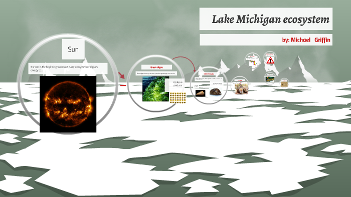 Lake Michigan ecosystem by Michael Griffin on Prezi