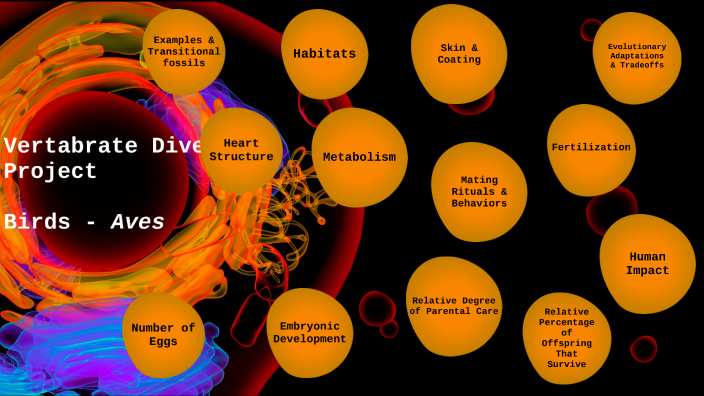 Vertebrate Diversity Presentation - Aves by Lawrence Zeltser on Prezi