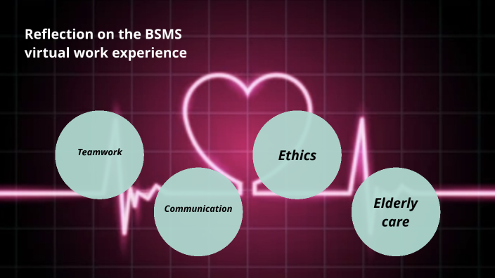 work experience reflection by zainab majid on Prezi