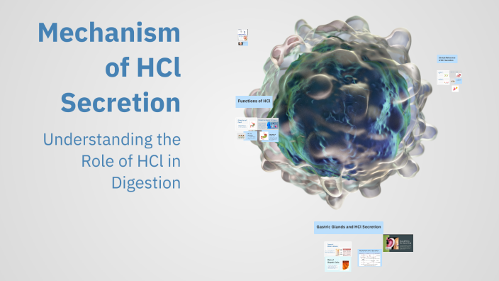 Mechanism of HCl Secretion by KONDETI SIDDARTHA ROYAL S on Prezi