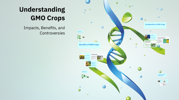 Understanding GMO Crops by Ciarra Cullen on Prezi