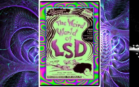 LSD: The Psychedelic Experience by Olivia Carlson on Prezi