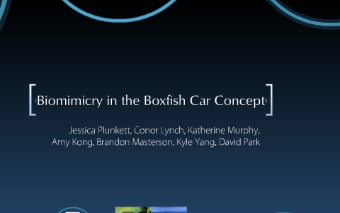 Biomimicry- Boxfish Car by Amy Kong on Prezi