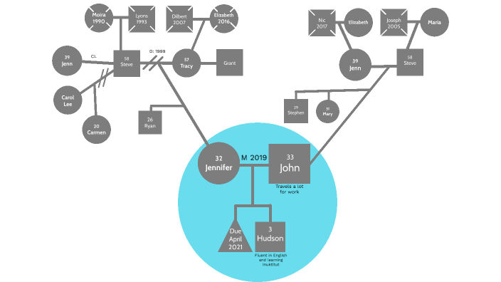 Ringrose Family Genogram by Liz Gould on Prezi