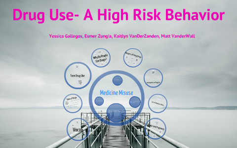 Drug Use - A high Risk Behavior by Matt VanderWall on Prezi