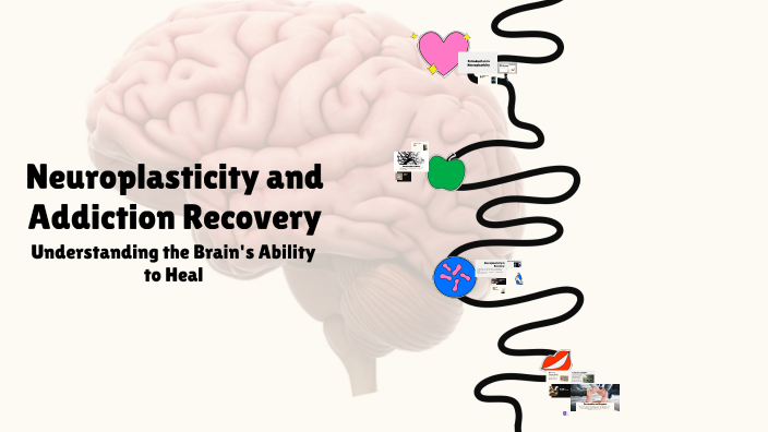 Neuroplasticity and Addiction Recovery by Zaur Kerimov on Prezi