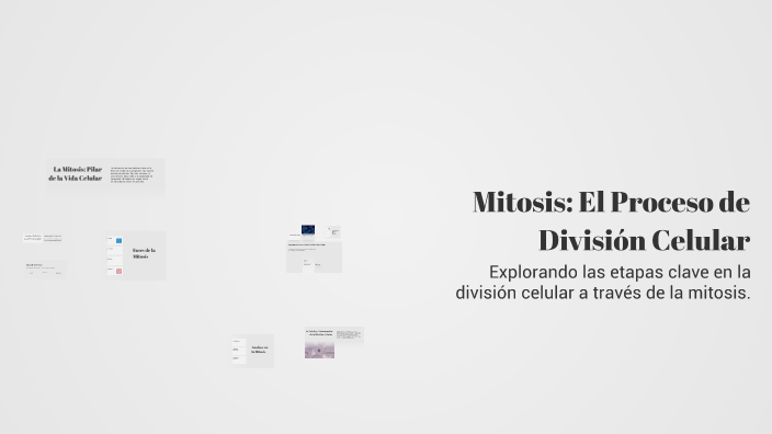 Mitosis: El Proceso de División Celular by Gabriel Cornejo on Prezi
