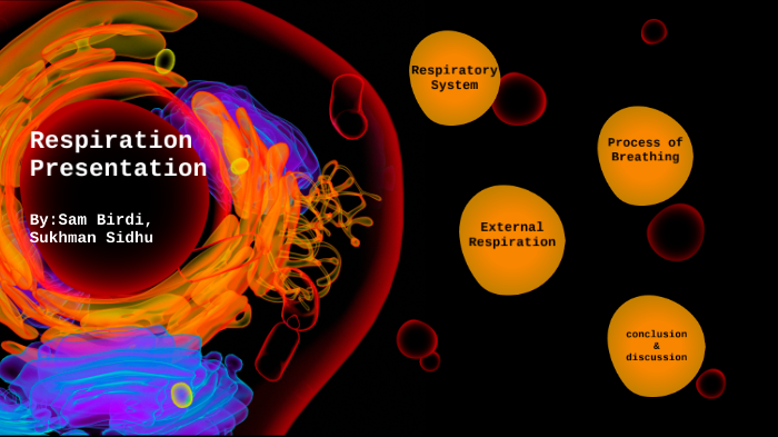 Respiration Mind Map Presentation by sam birdi on Prezi