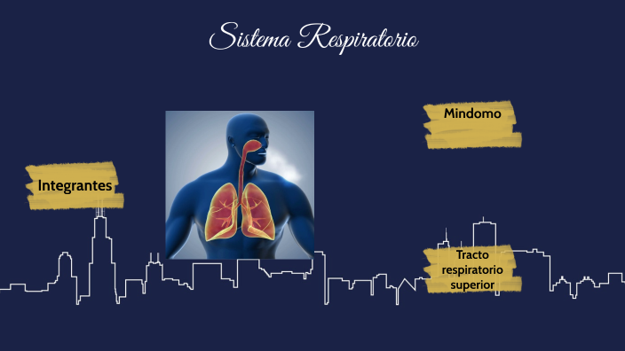 Sistema Respirat by Diana Carranza on Prezi