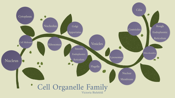 Cell Organelle Family by Victoria Bielefeld on Prezi
