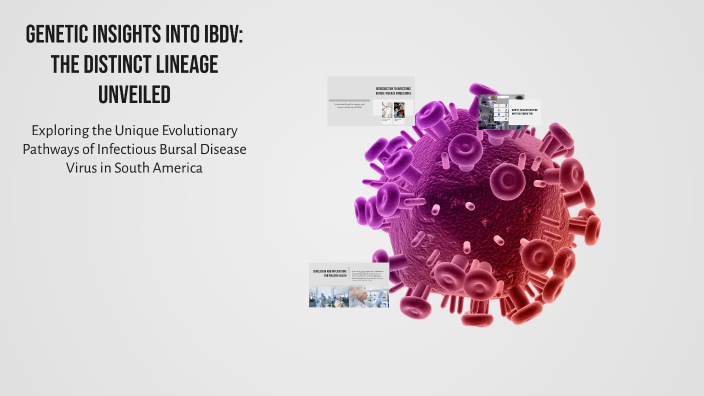 Genetic Insights into IBDV: The Distinct Lineage Unveiled by mary zak ...