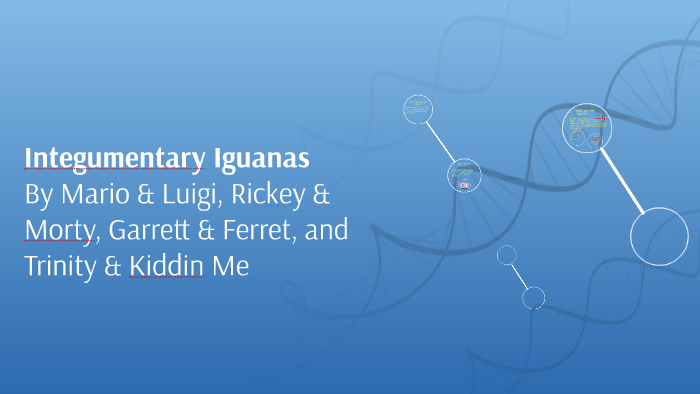 Integumentary System by Mario Steverson on Prezi