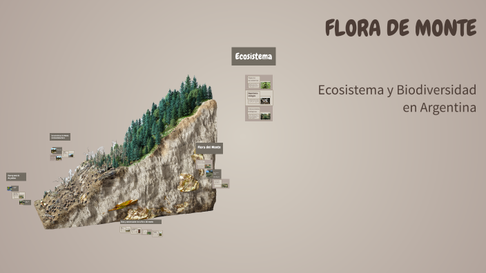 FLORA DE MONTE by Leandro Troncoso on Prezi