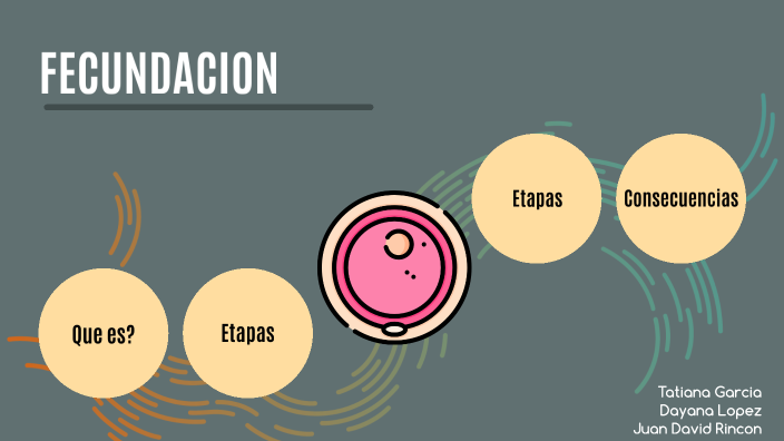 FECUNDACION by Tati Garcia on Prezi