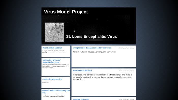 Virus Model Project by Ashton house on Prezi
