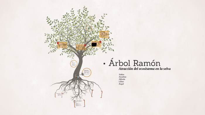 Árbol Ramón by lilian samra on Prezi