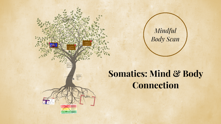 Somatics: Mind Body Connection by Julia Plummer on Prezi