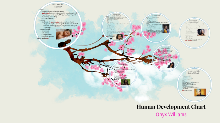 Human Growth Development Chart by O Williams on Prezi