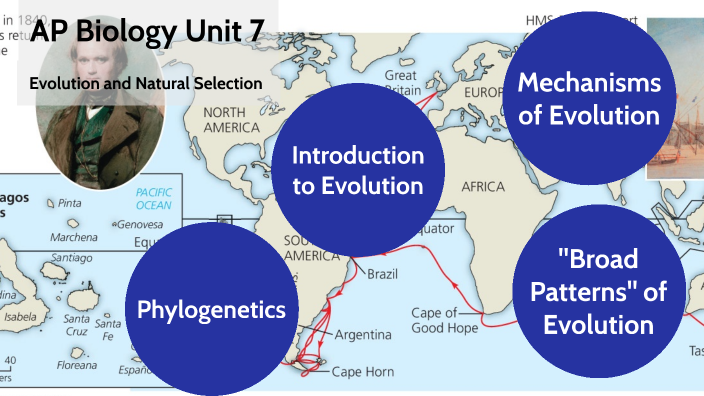 AP Biology Unit 7 by Christopher Himmelheber on Prezi