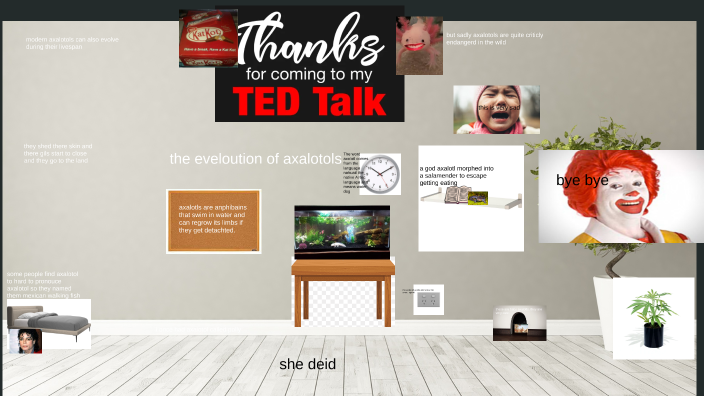 The Evolution of Axolotls by Archie MGary on Prezi